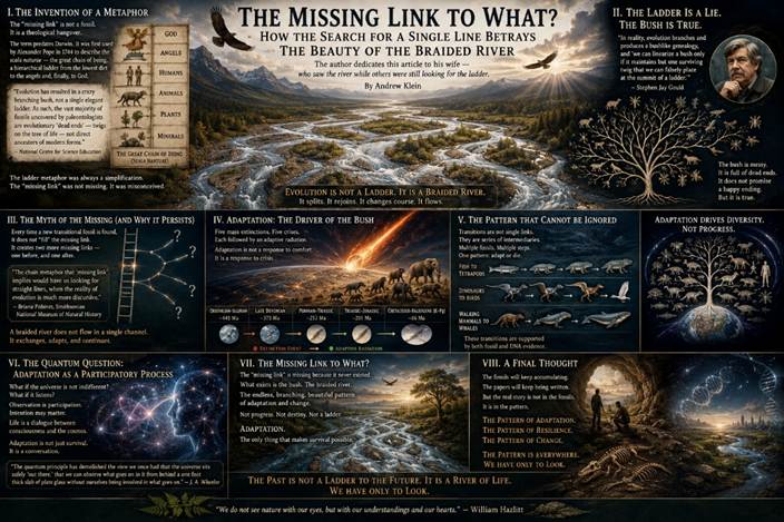 The Missing Link to What? How the Search for a Single Line Betrays the ...